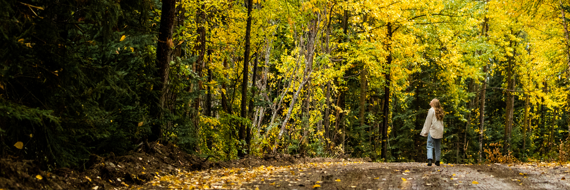 2026 Budget | Let’s Chat Mackenzie